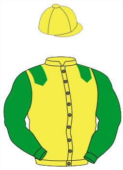 Derek Shaw – Shawthing Racing Partnership – Derek Shaw